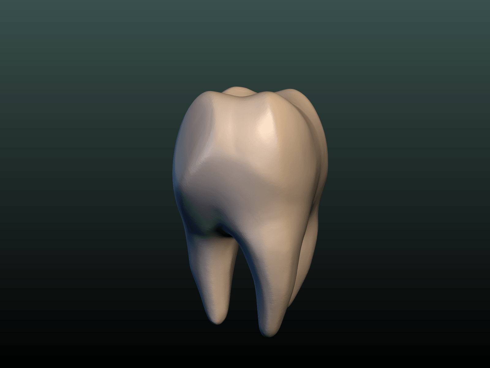 STL file Tooth 🦷 (OBJ)・Template to download and 3D print・Cults