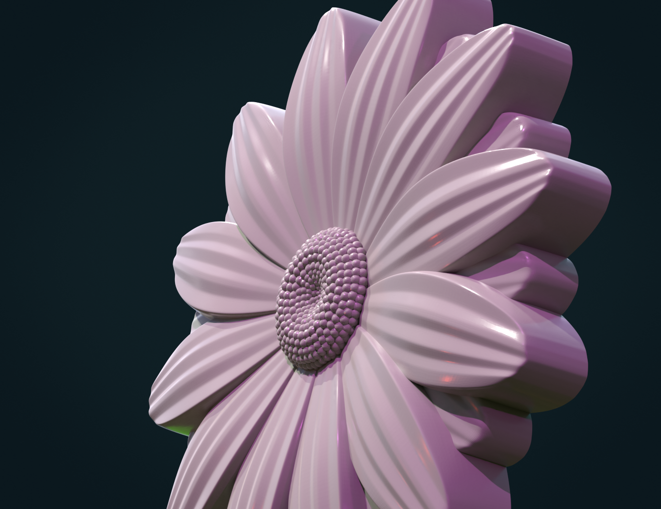 💐 Daisy・ 3D File for ・Cults