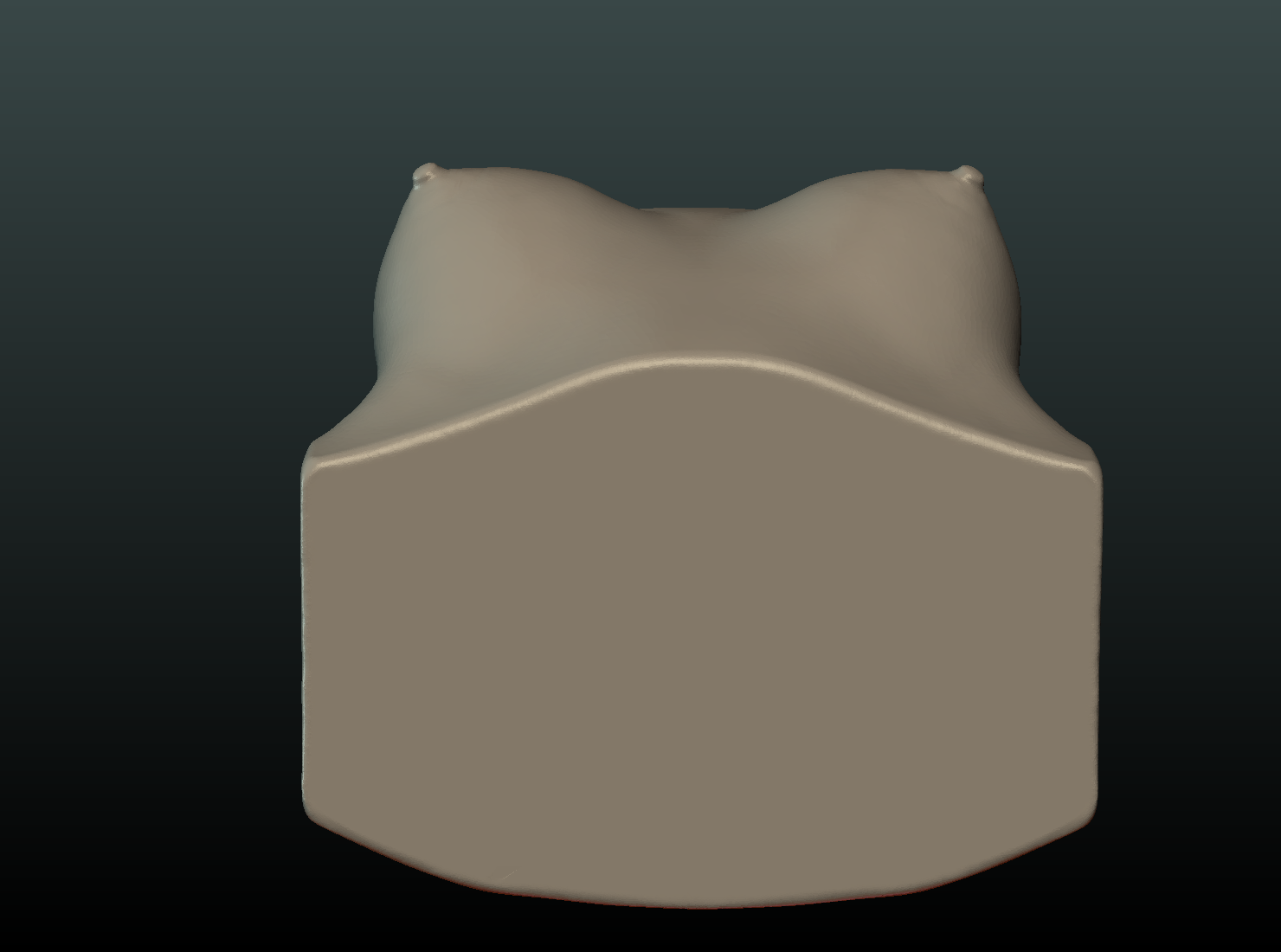 STL file Woman's Breast 👤 (OBJ)・3D printing idea to download・Cults