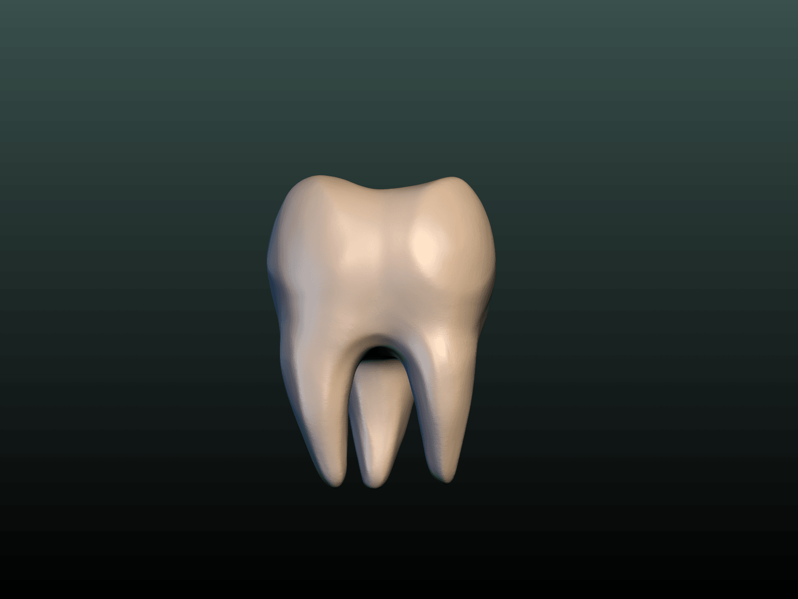 STL file Tooth 🦷 (OBJ)・Template to download and 3D print・Cults