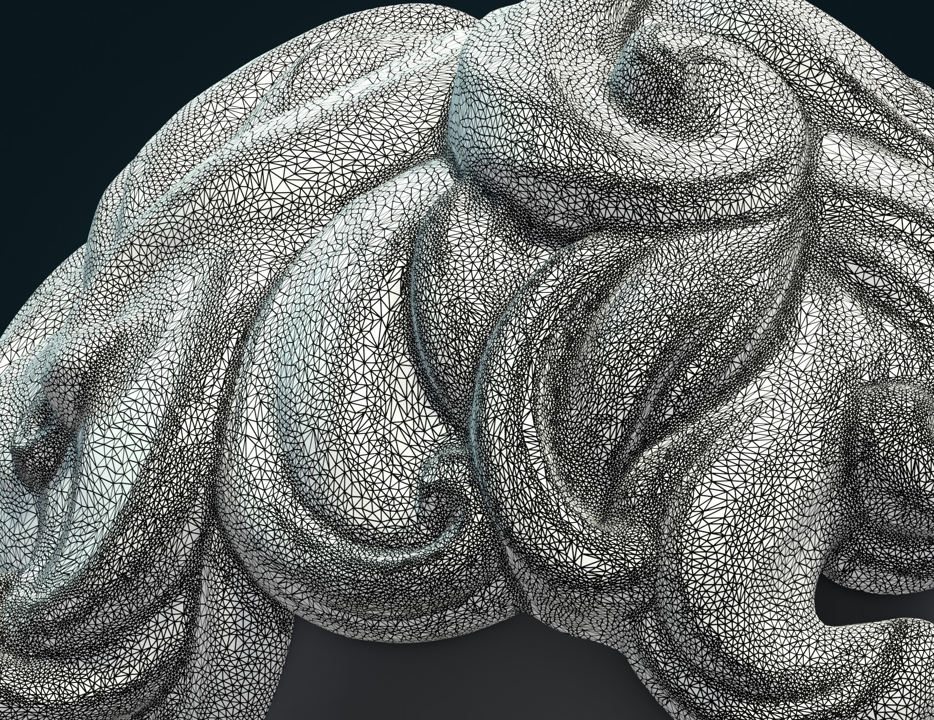 Curly Hair I・ 3D File for ・Cults