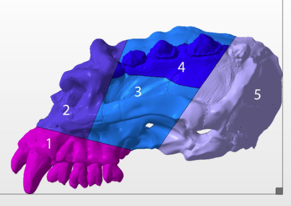 🧌 Troll Skull・Free STL File for ・Cults