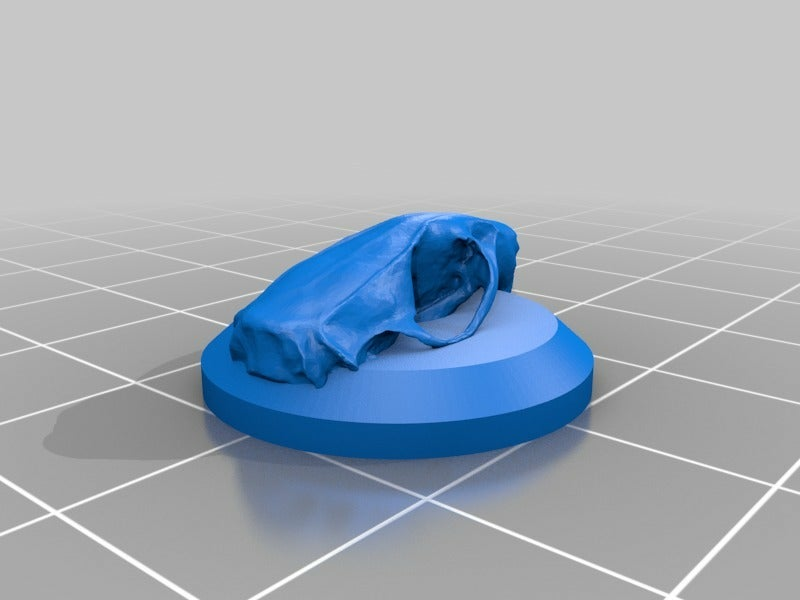 Free STL file Rat Skull Token - Mice and Mystics 🐀 ・3D printable model ...