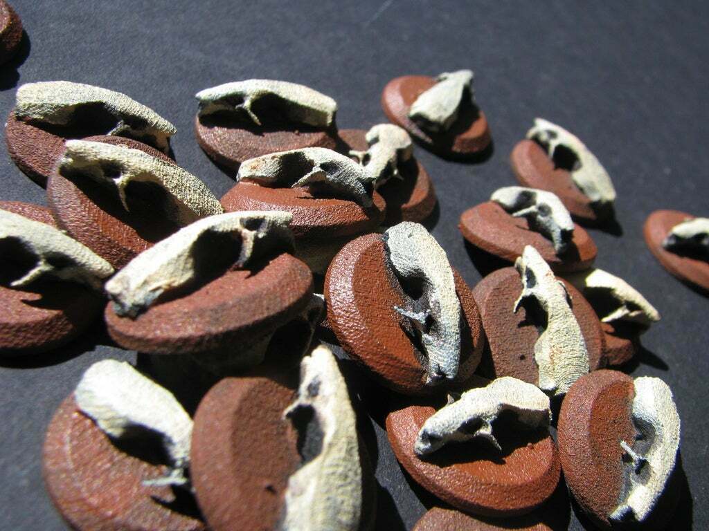 Free STL file Rat Skull Token - Mice and Mystics 🐀 ・3D printable model ...