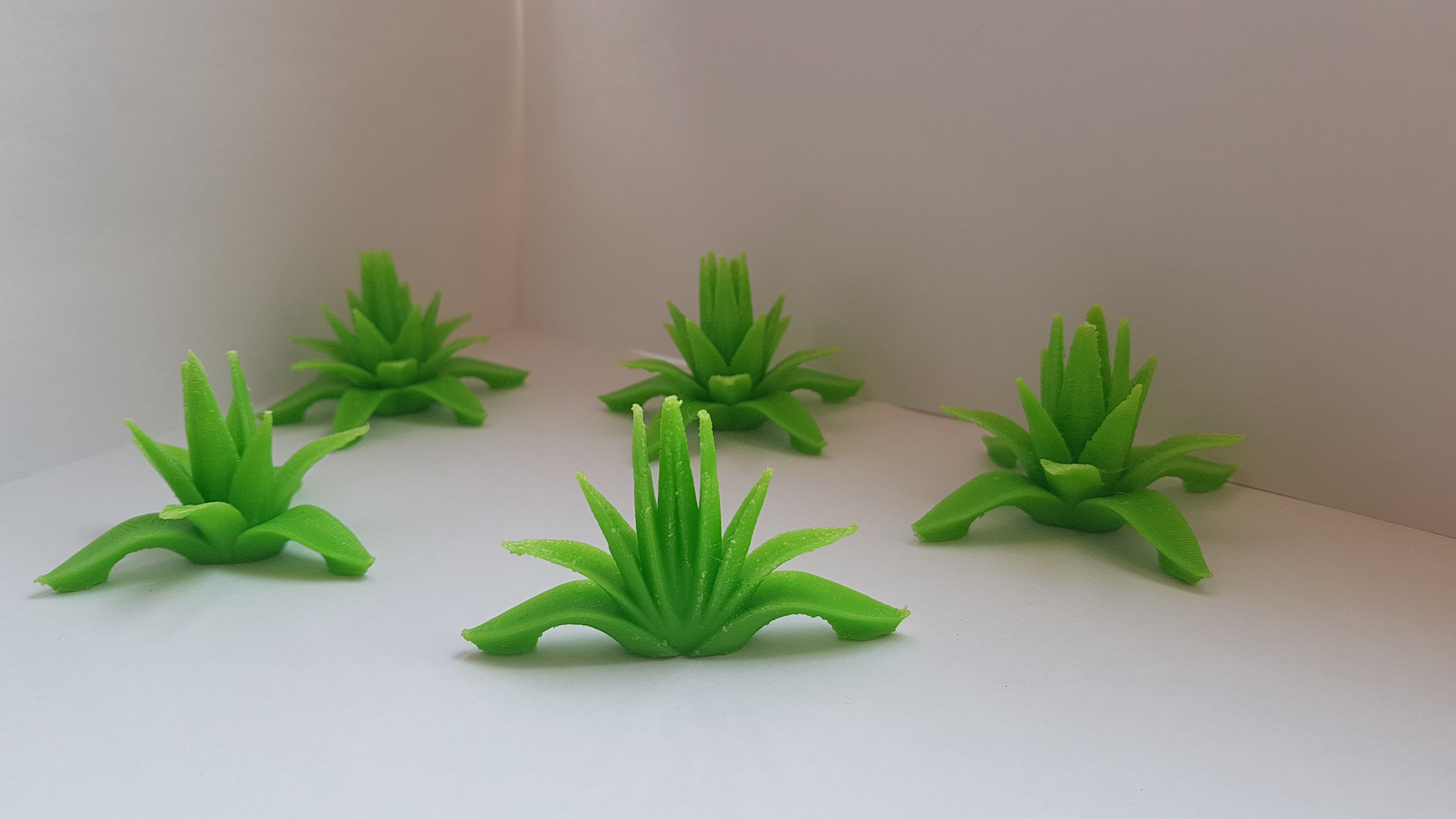 3D print Tabletop plant: 5 Agaves Set (different number of leaves)・Cults