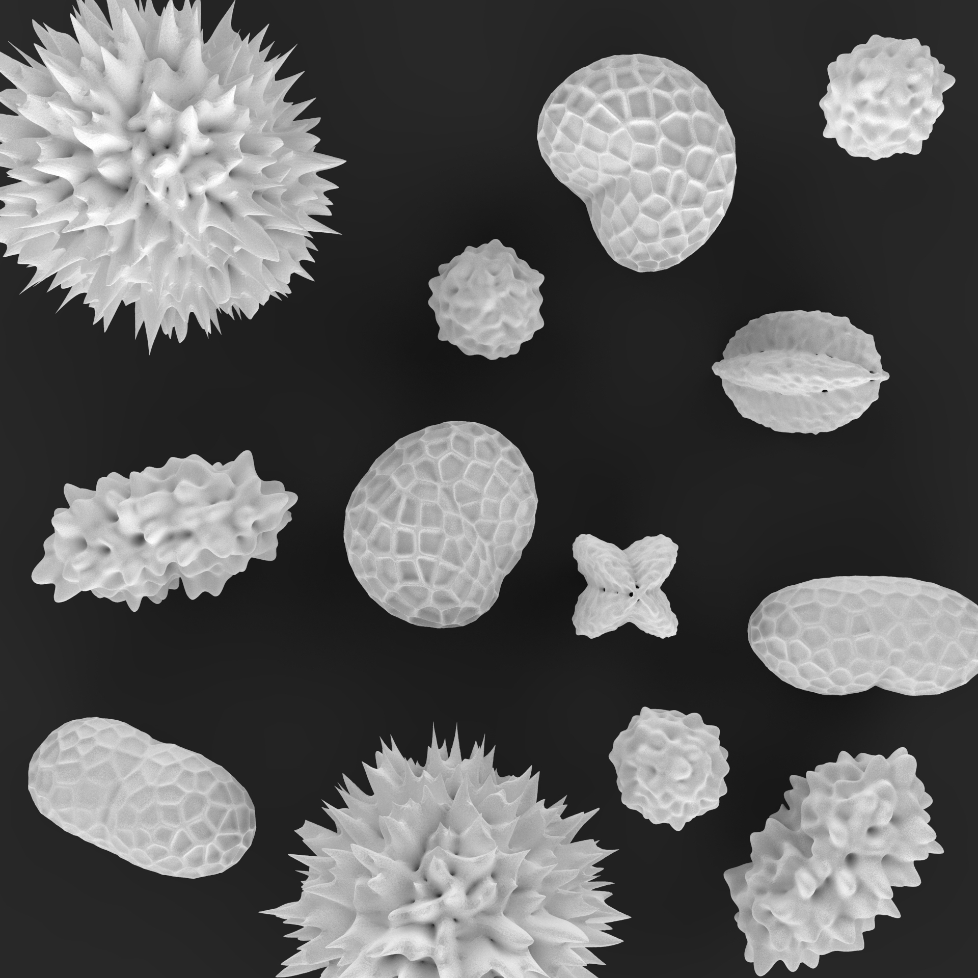 Free STL file POLLEN SPORES 🏫 ・Template to download and 3D print・Cults