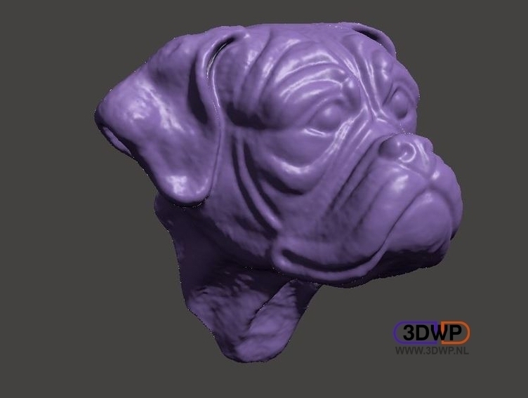 🐕 Boxer Head (Dog Head Wall Hanger)・ STL File for ・Cults