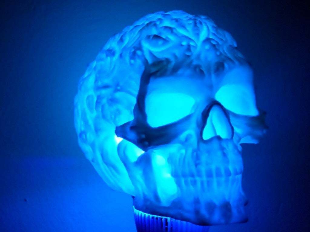 Free STL file Spook Skull 3D Scan (Hollow) 💀 ・3D printing model to ...