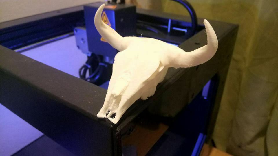 🐂 Bull Skull・Free 3D File for ・Cults