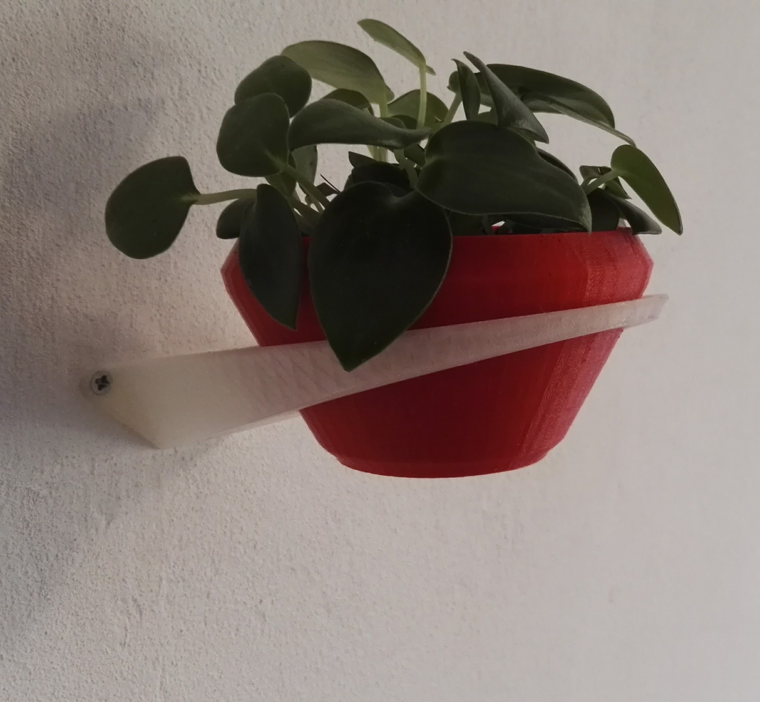 STL file Wall planter 🪴 ・3D printable model to download・Cults