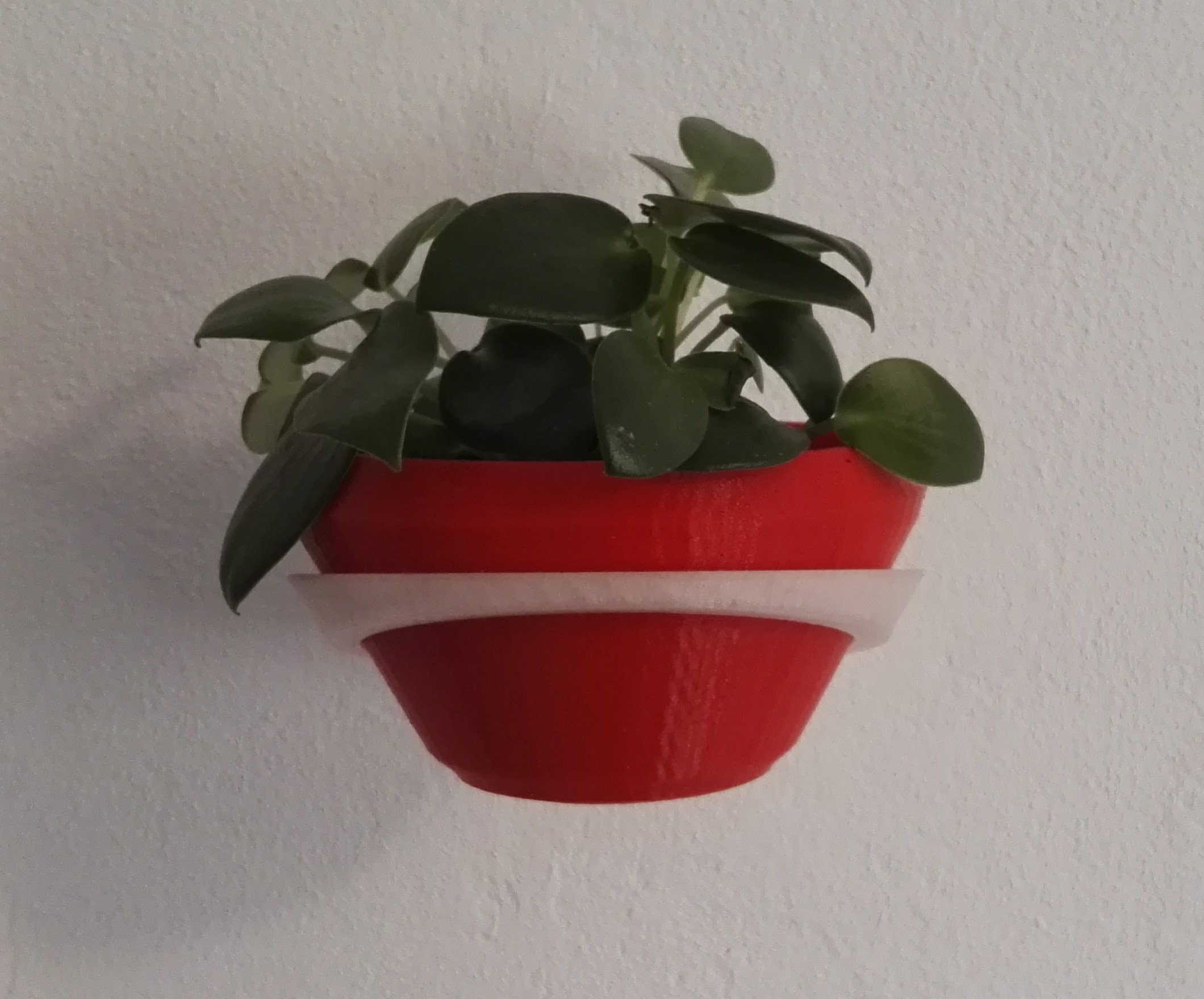 STL file Wall planter 🪴 ・3D printable model to download・Cults
