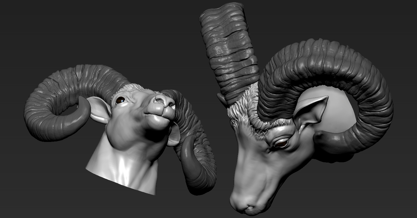 🐏 Ram Head・ STL File for ・Cults