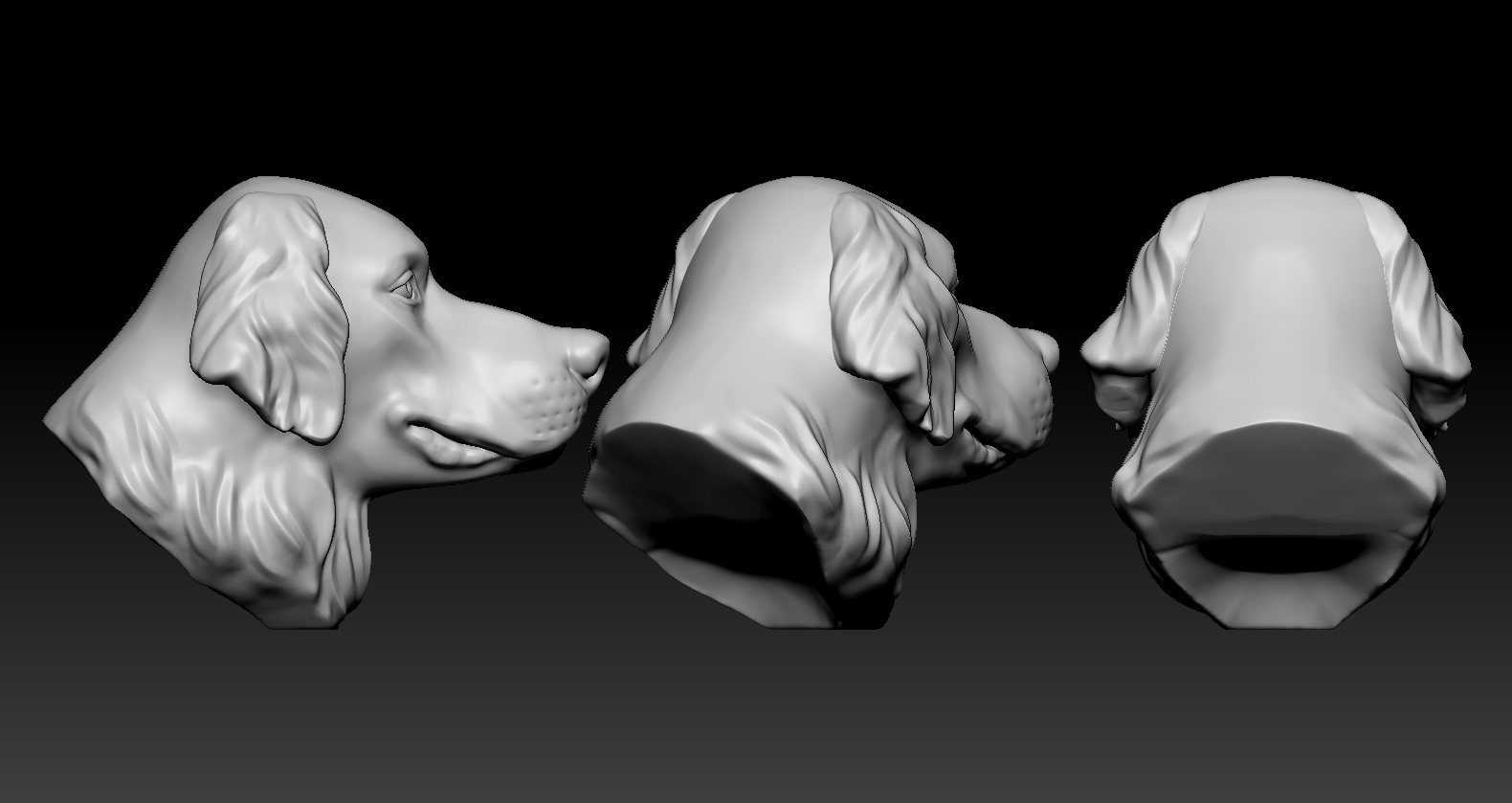 STL file Golden retriever 🎨 (OBJ)・3D printer design to download・Cults