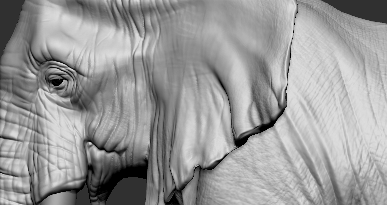 STL file Elephant African 🐘 (OBJ)・Design to download and 3D print・Cults