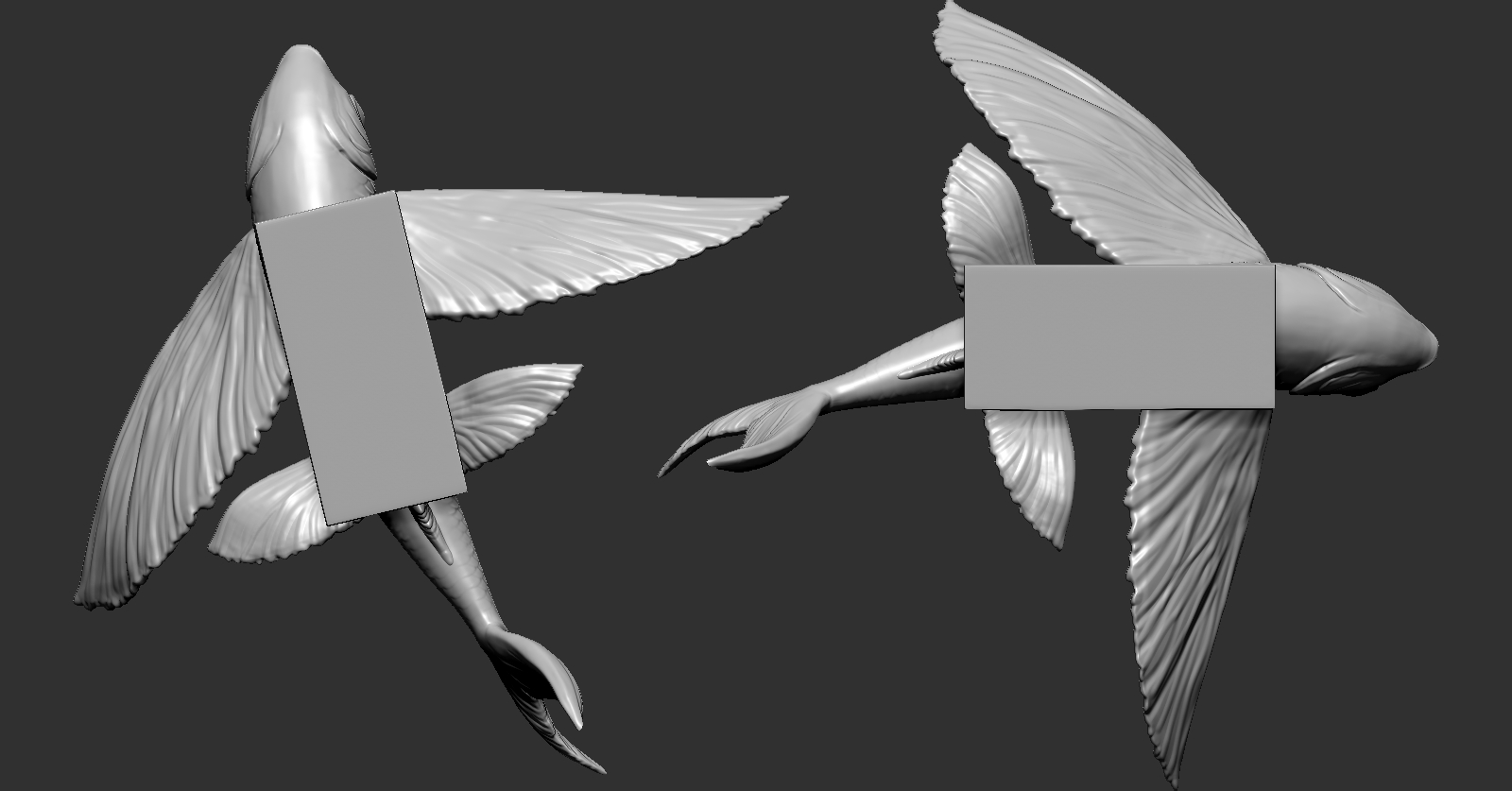 STL file Flying fish 🐠 (OBJ)・Model to download and 3D print・Cults