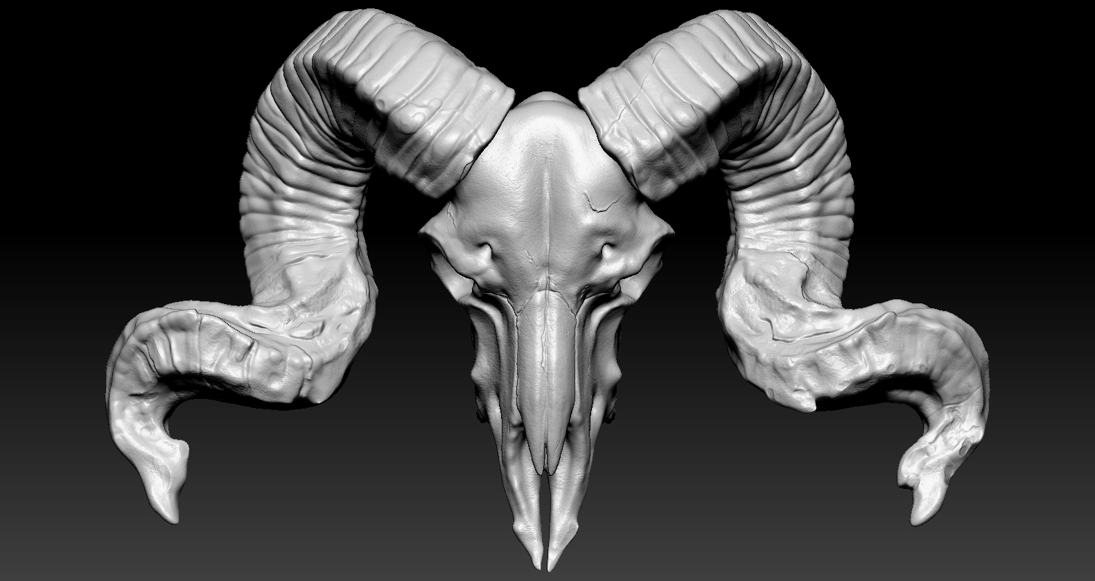 STL file Ram Skull 🐏 (OBJ)・3D printer model to download・Cults