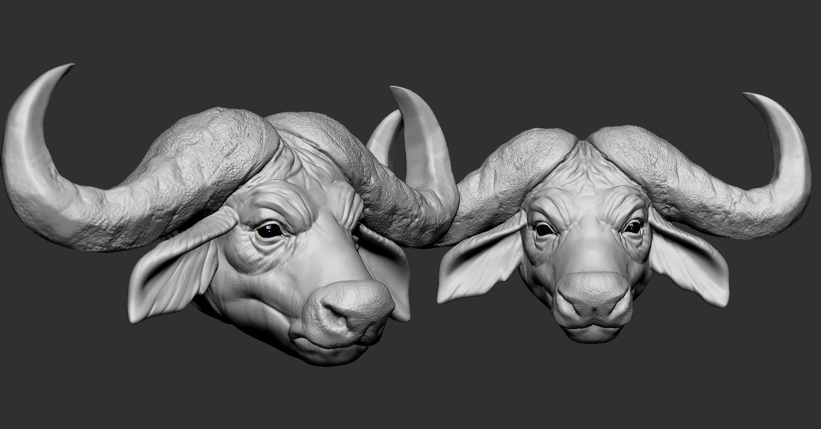 STL file Buffalo head 🐂 (OBJ)・3D printer design to download・Cults
