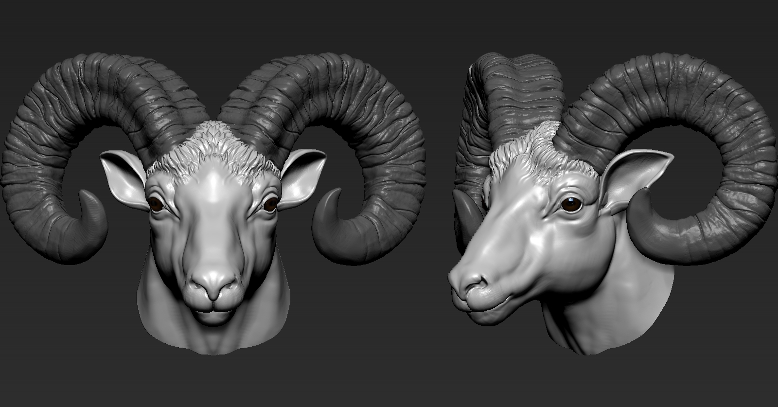 🐏 Ram Head・ STL File for ・Cults