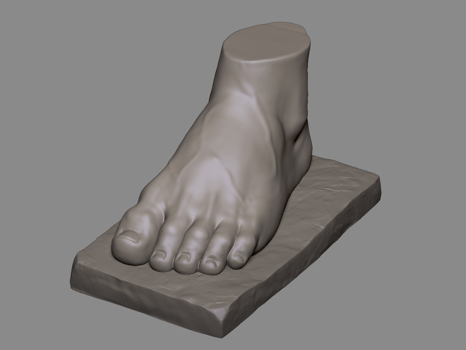 Файл STL Foot Sculpture 1 🦶 (OBJ)・Дизайн 3D принтера для загрузки・Cults
