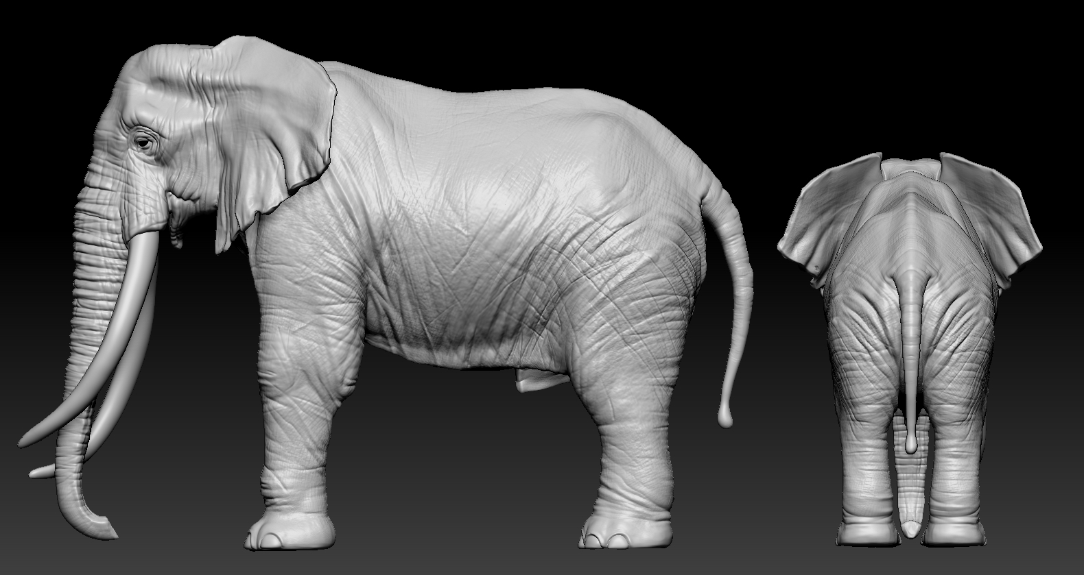 STL file Elephant African 🐘 (OBJ)・Design to download and 3D print・Cults