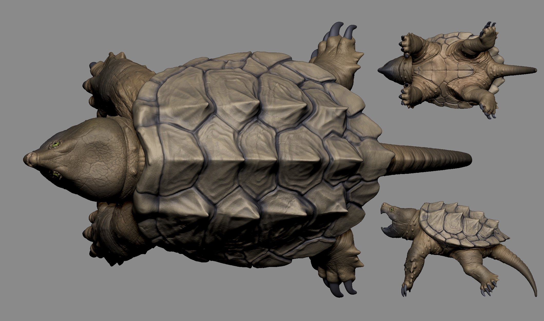 STL-Datei Alligator Snapping Turtle 🐊 (OBJ)・3D-Drucker-Vorlage zum ...