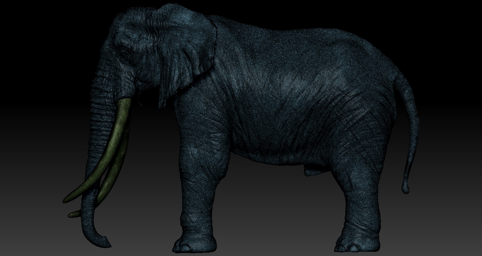 STL file Elephant African 🐘 (OBJ)・Design to download and 3D print・Cults