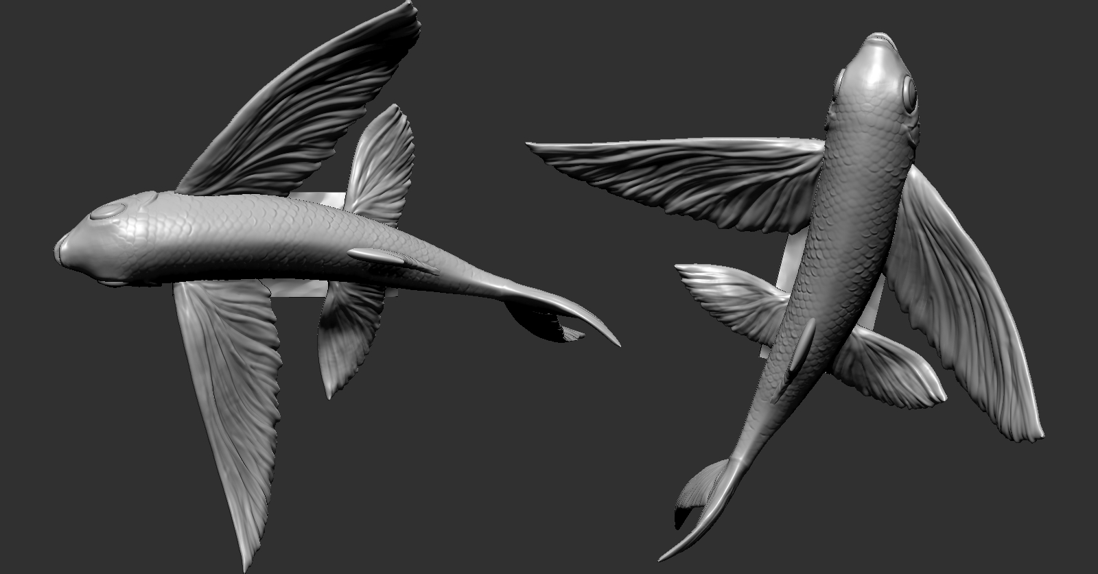 STL file Flying fish 🐠 (OBJ)・Model to download and 3D print・Cults