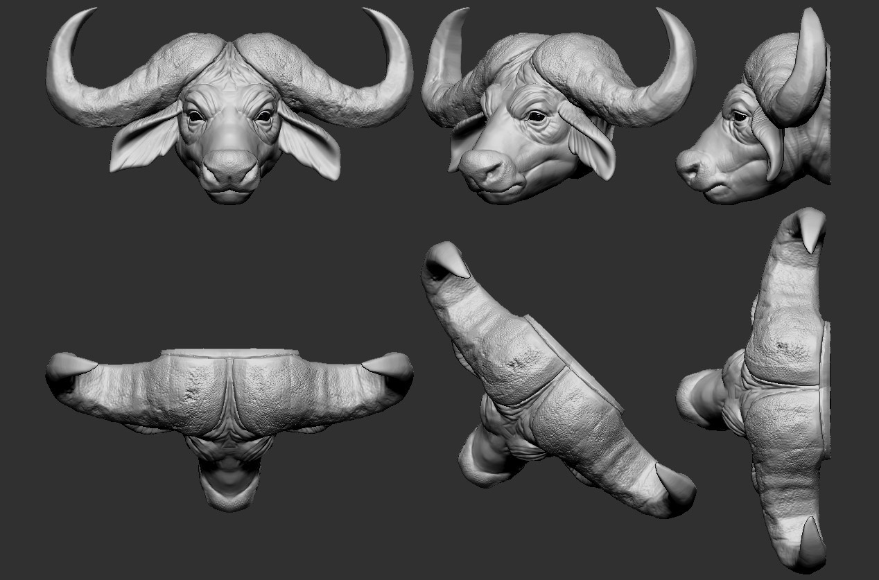 STL file Buffalo head 🐂 (OBJ)・3D printer design to download・Cults