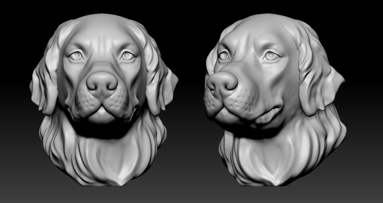 STL file Golden retriever 🎨 (OBJ)・3D printer design to download・Cults
