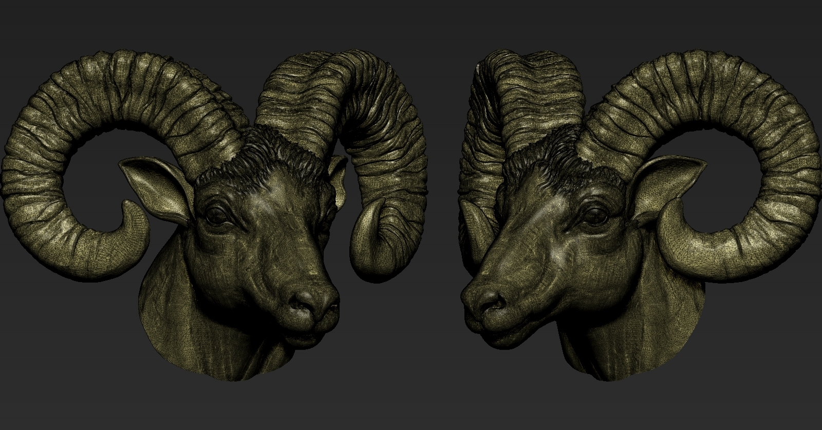 🐏 Ram Head・ STL File for ・Cults