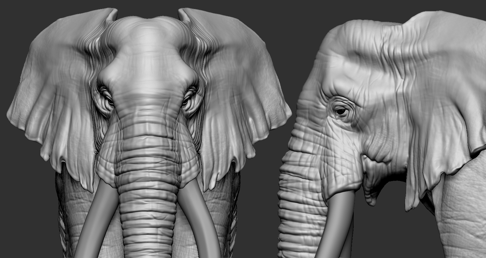 STL file Elephant African 🐘 (OBJ)・Design to download and 3D print・Cults