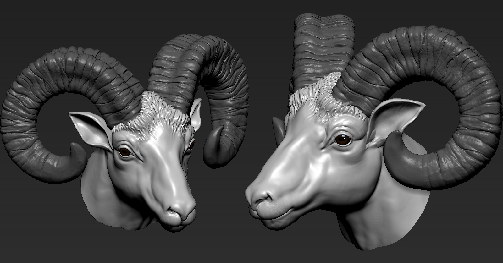 🐏 Ram Head・ STL File for ・Cults