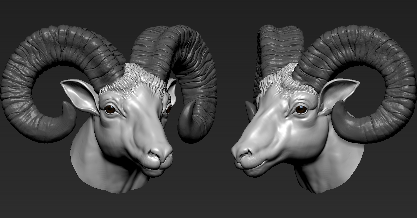 🐏 Ram Head・Бесплатный STL для ・Cults