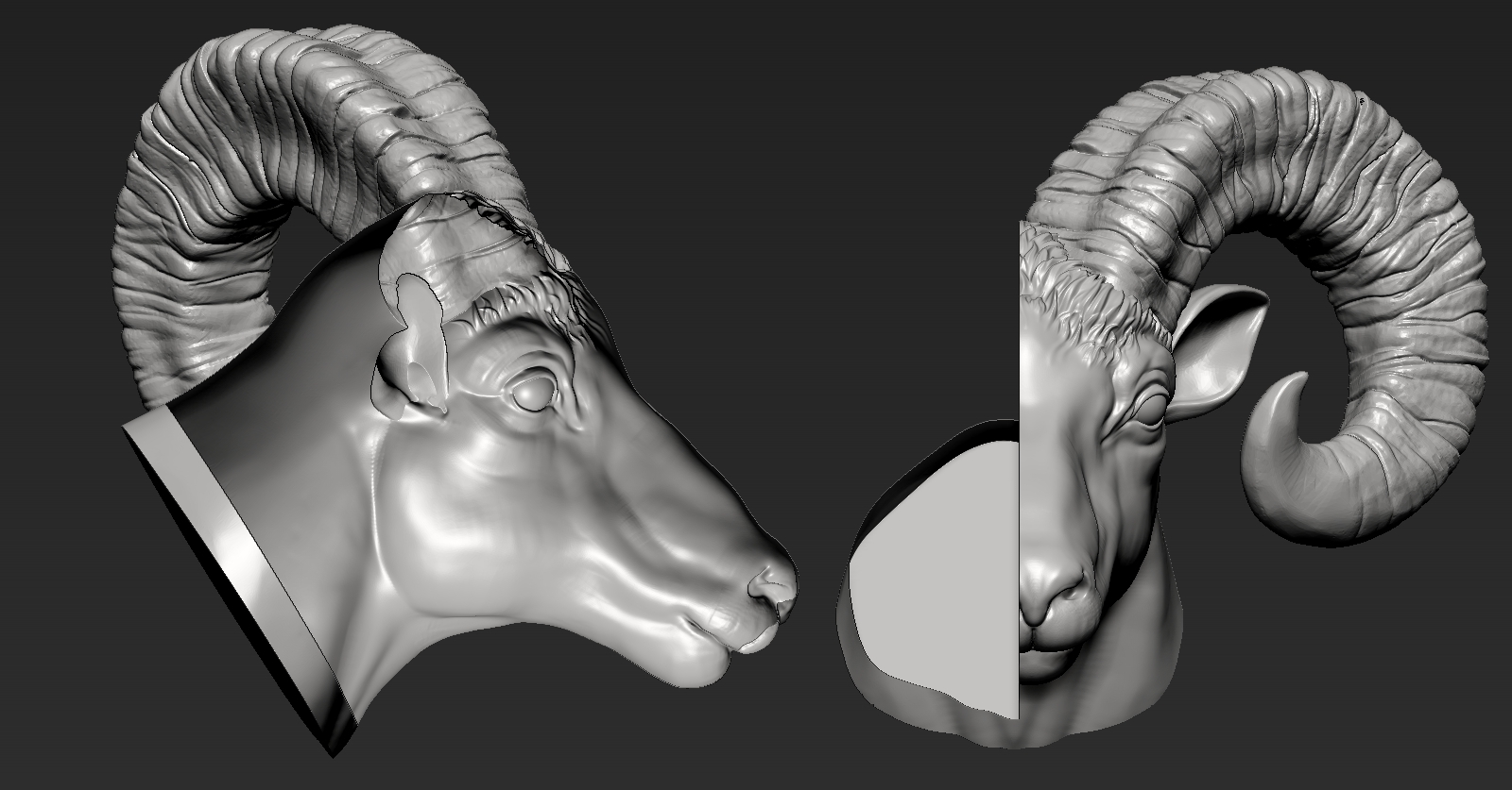 🐏 Ram Head・ STL File for ・Cults