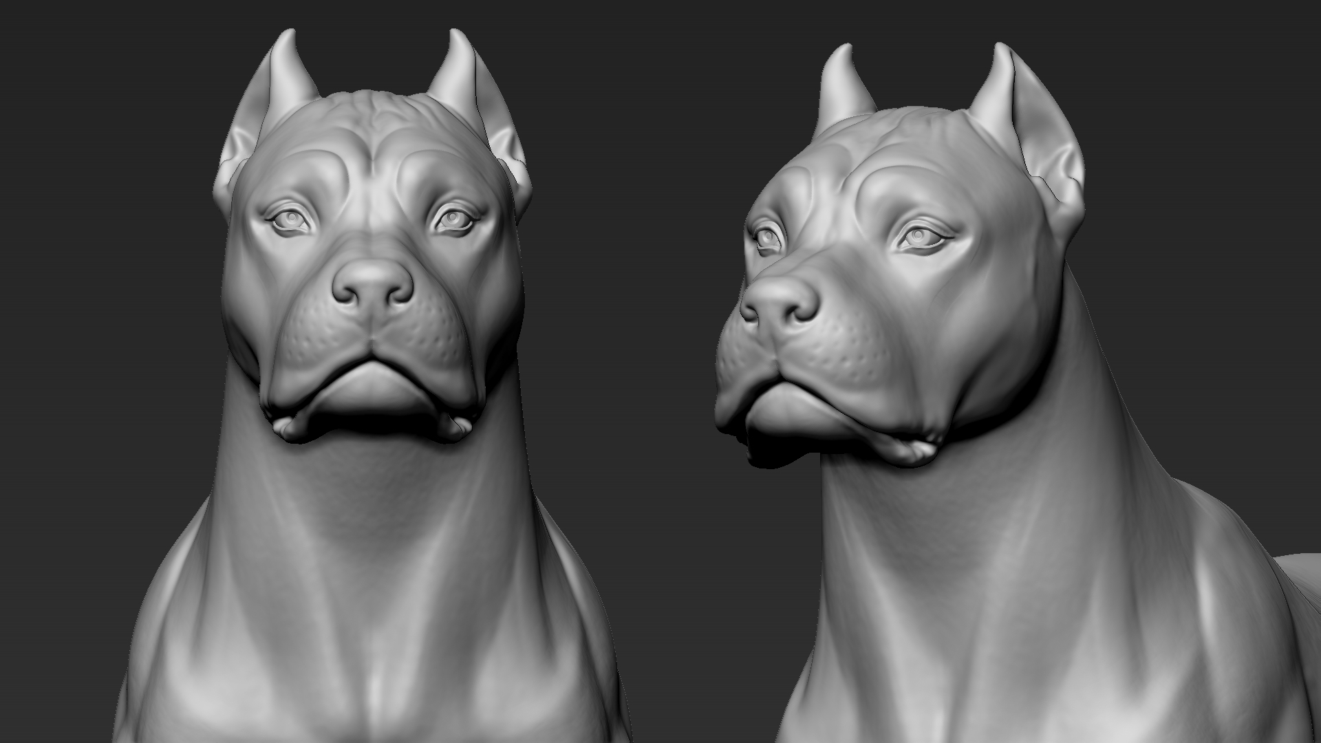 STL file Dogo Argentino 🐕 (OBJ)・3D print model to download・Cults