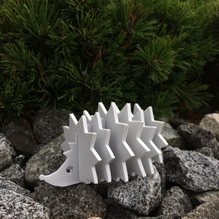 STL file Coasters Hedgehog model 🦔 ・3D printing template to download・Cults