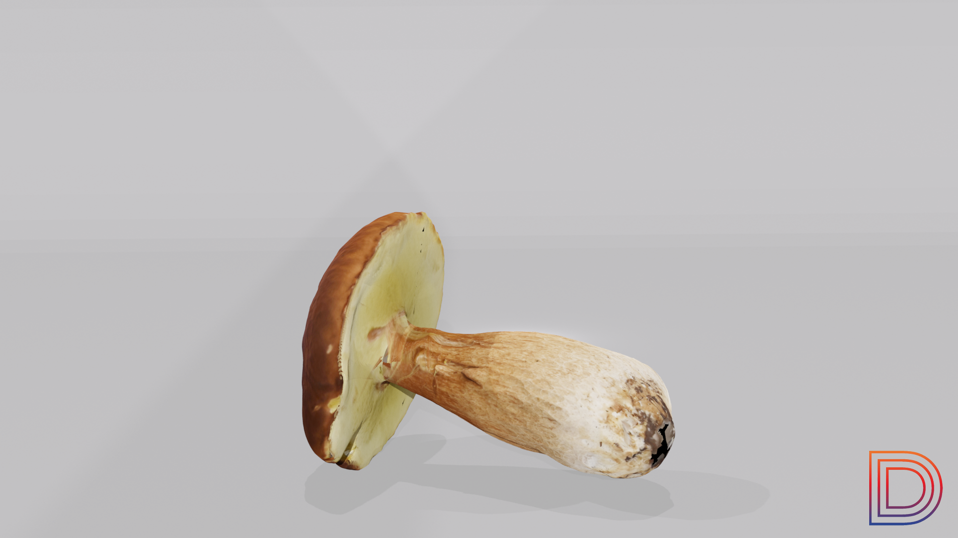 Fichier 3D Cèpe de Bordeaux 🍄 ・Modèle à télécharger et à imprimer en 3D ...