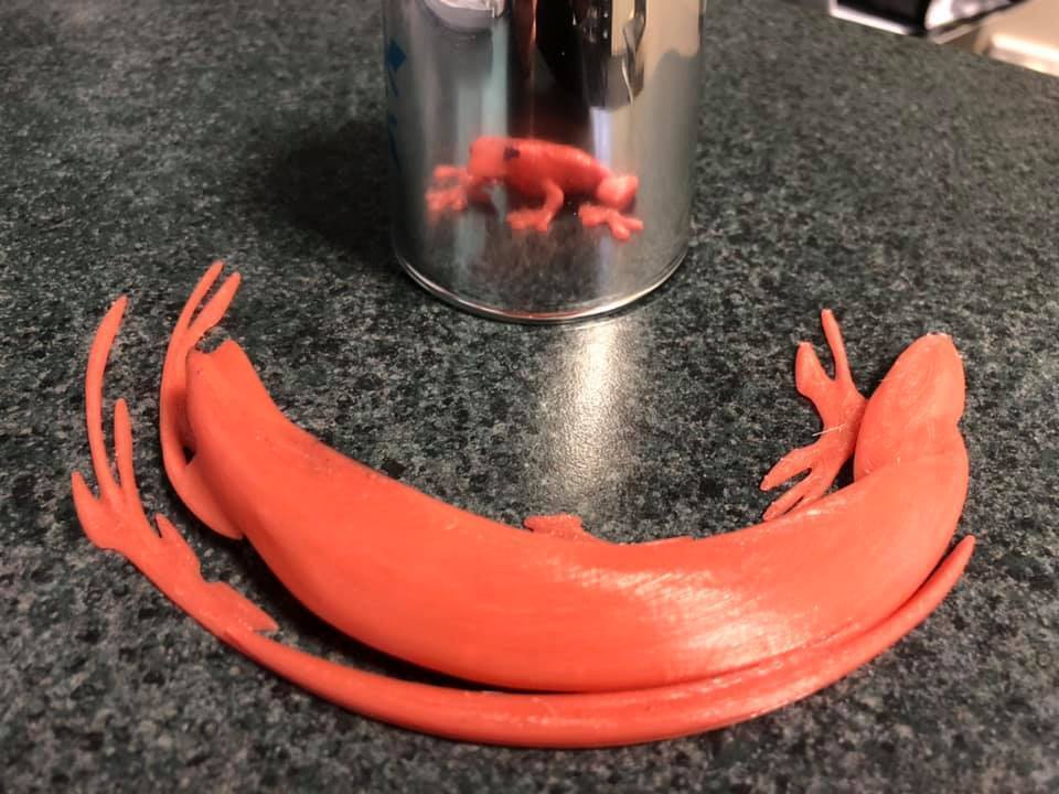 3D printing Anamorphic Frog・Cults