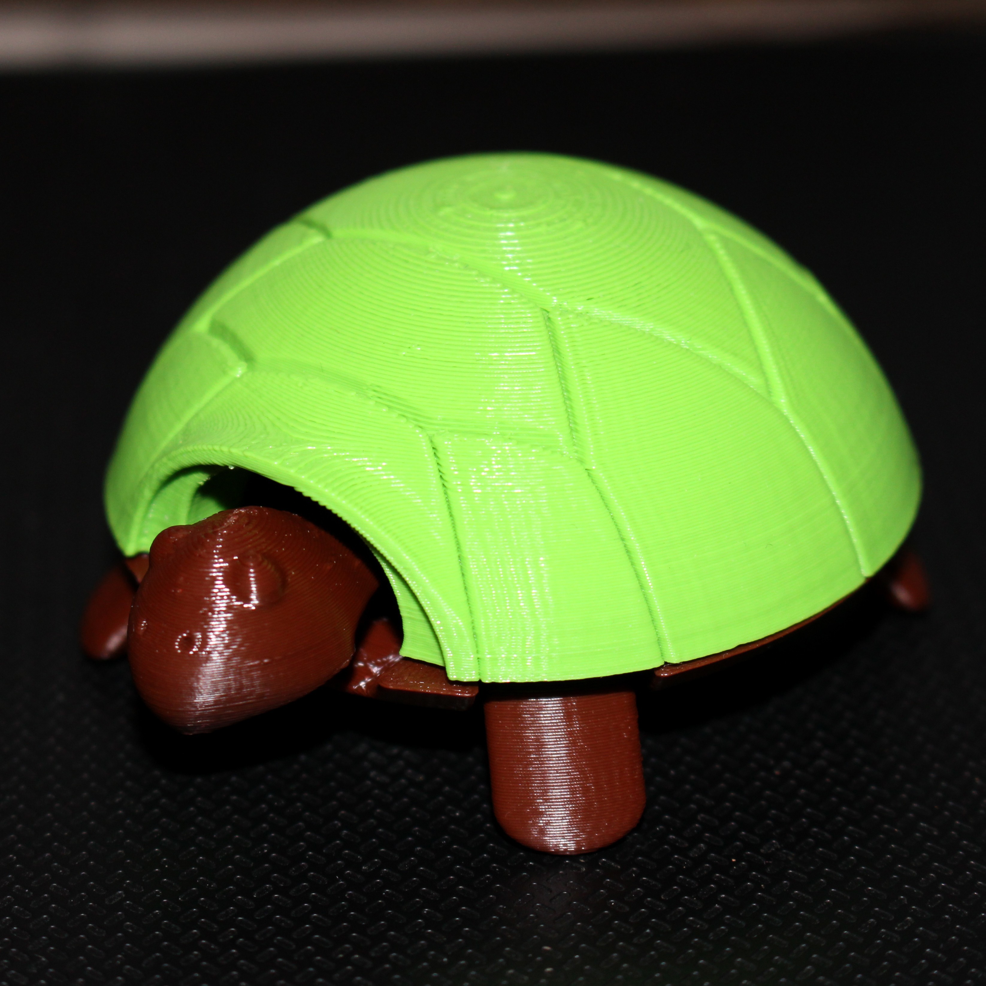 3D printing Squishy Turtle • made with Anet A8・Cults