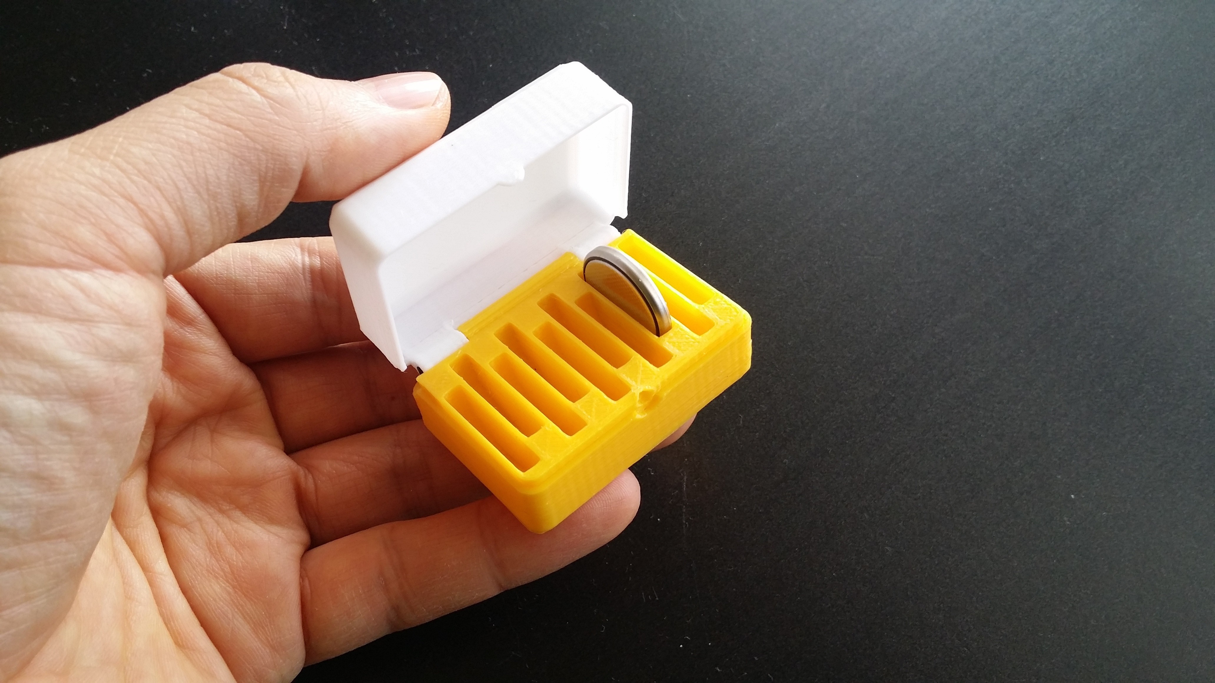 Free STL file CR2032, LR44, AG13 Coin Battery Case 🪙 ・3D printing ...