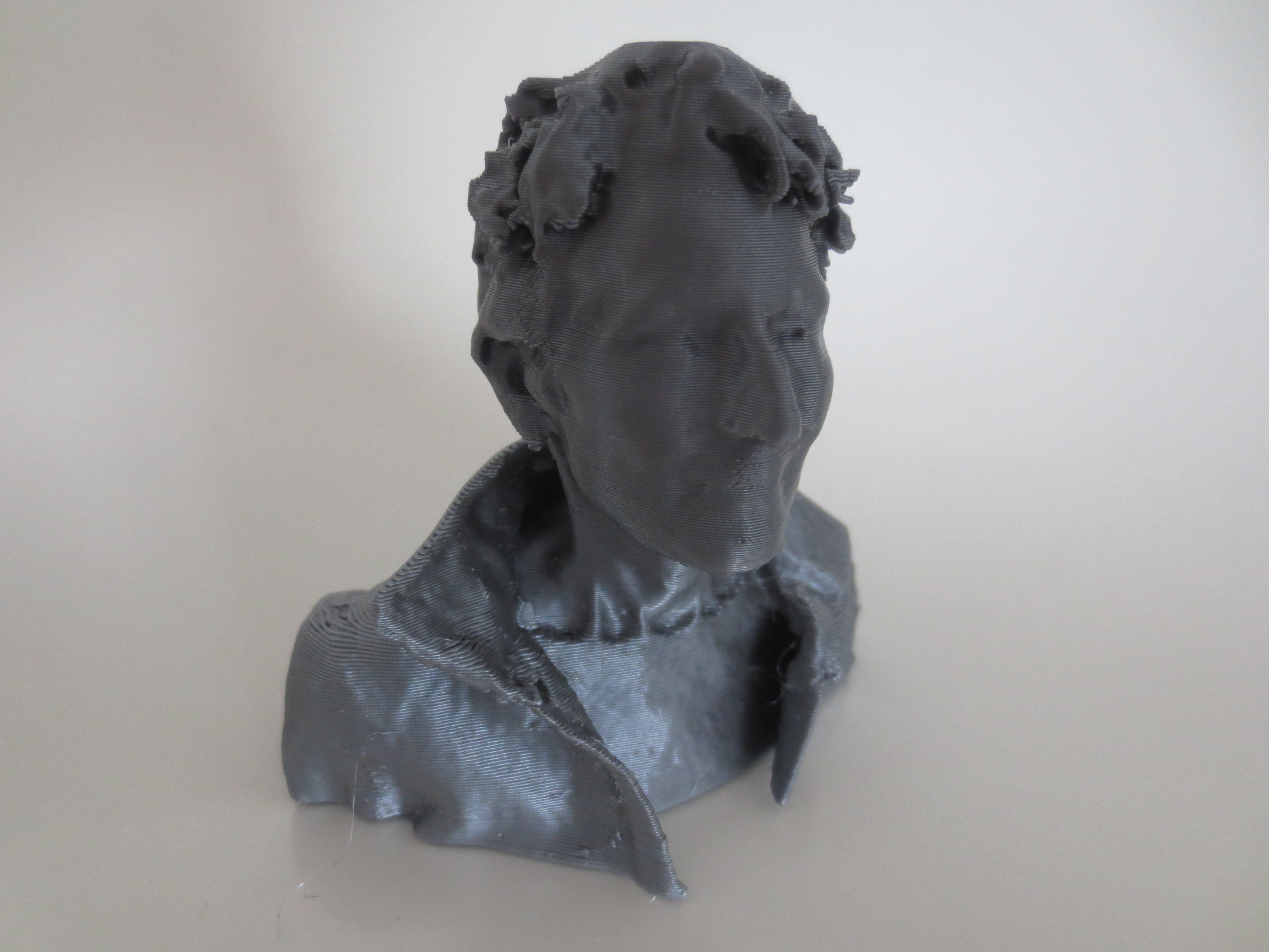 STL file 3D Portraits 👪 ・3D printable design to download・Cults