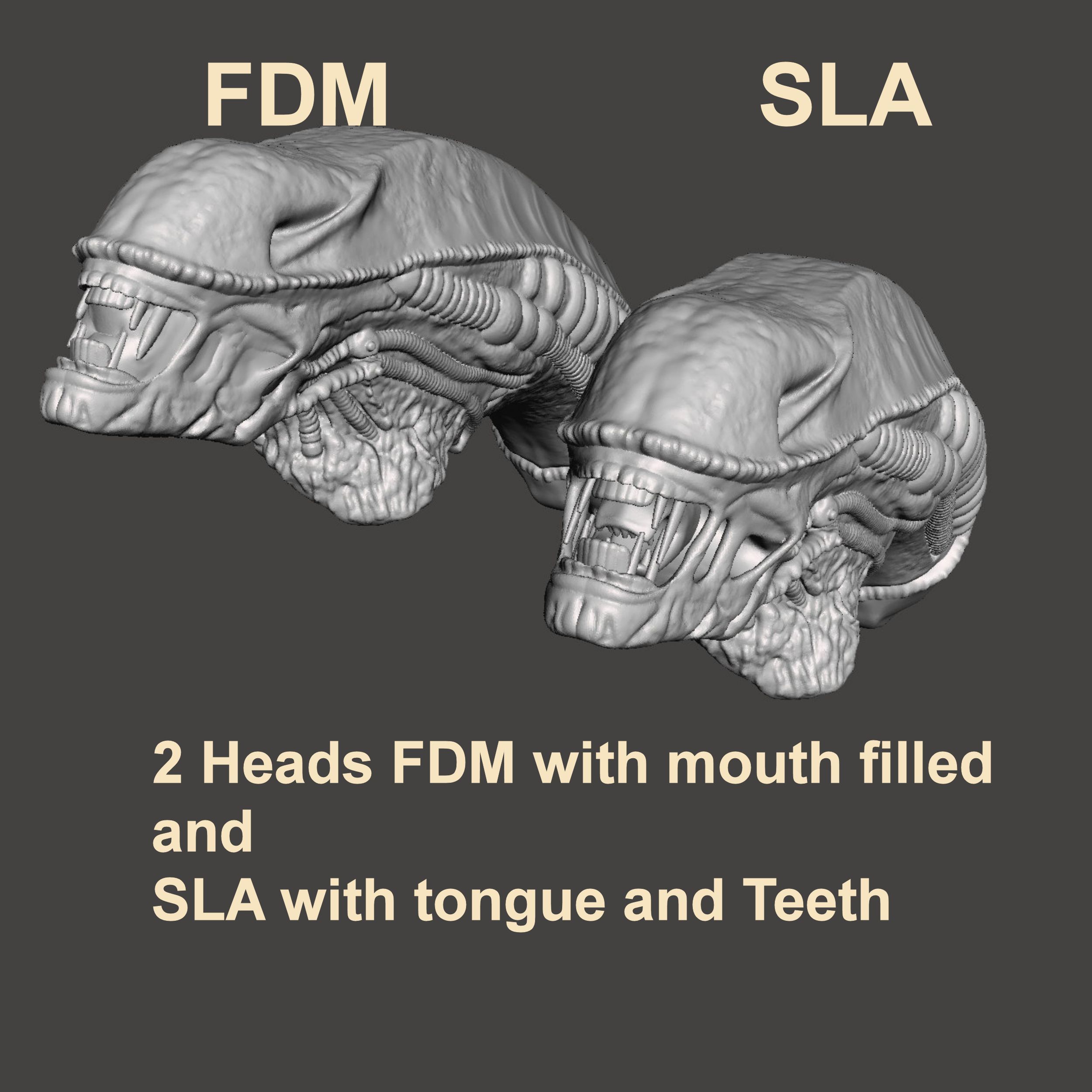 STL file Ripley’s Pet- by SPARX 👽 ・Template to download and 3D print・Cults