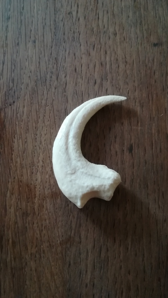 3D print Velociraptor dinosaur claw・Cults