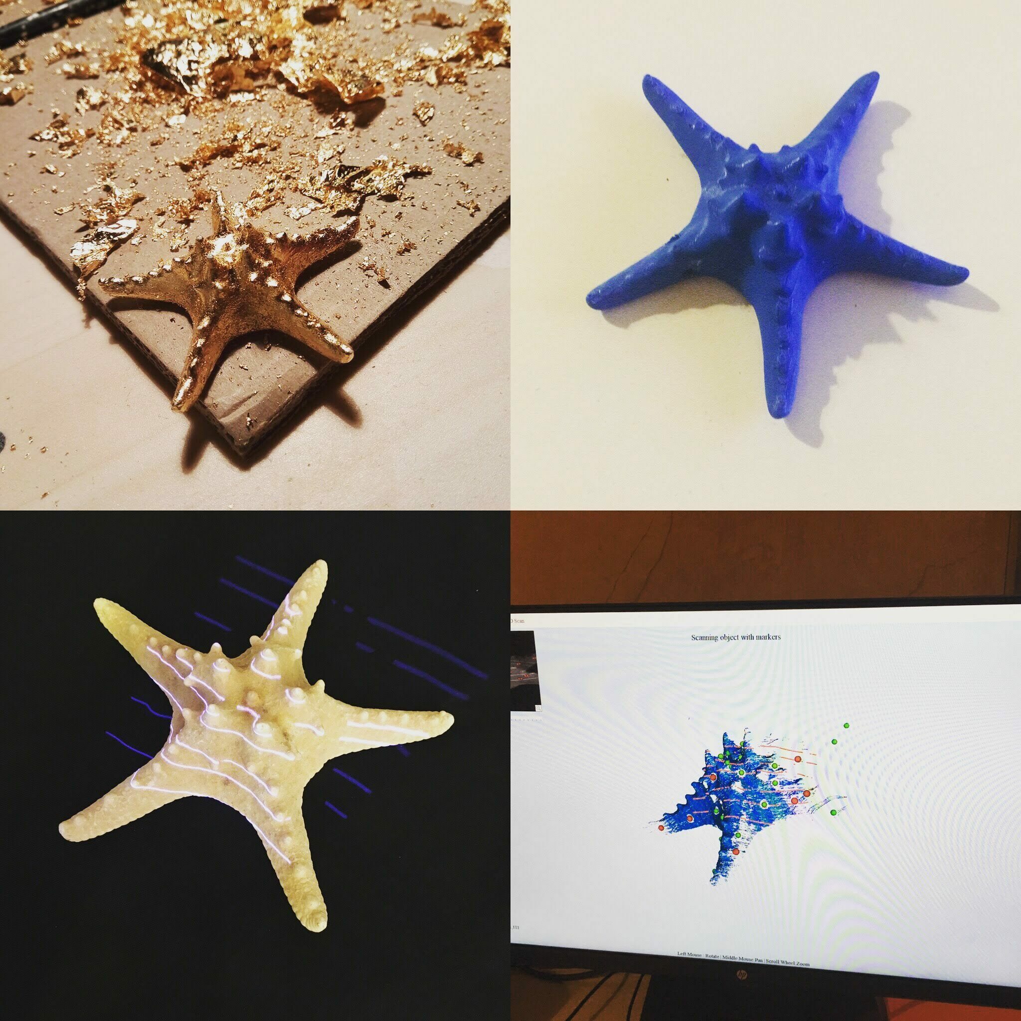 STL file Starfish 💍・3D print design to download・Cults