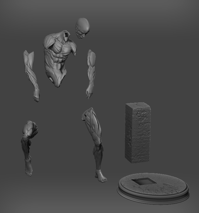STL file Human Anatomy art 🎨 ・3D printable model to download・Cults