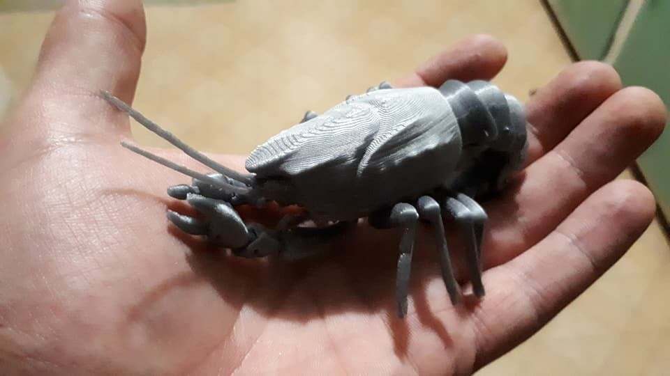 3D printable Articulated Crayfish・Cults