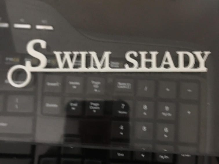 3D printing Swim shady Name Tag - Keyring・Cults