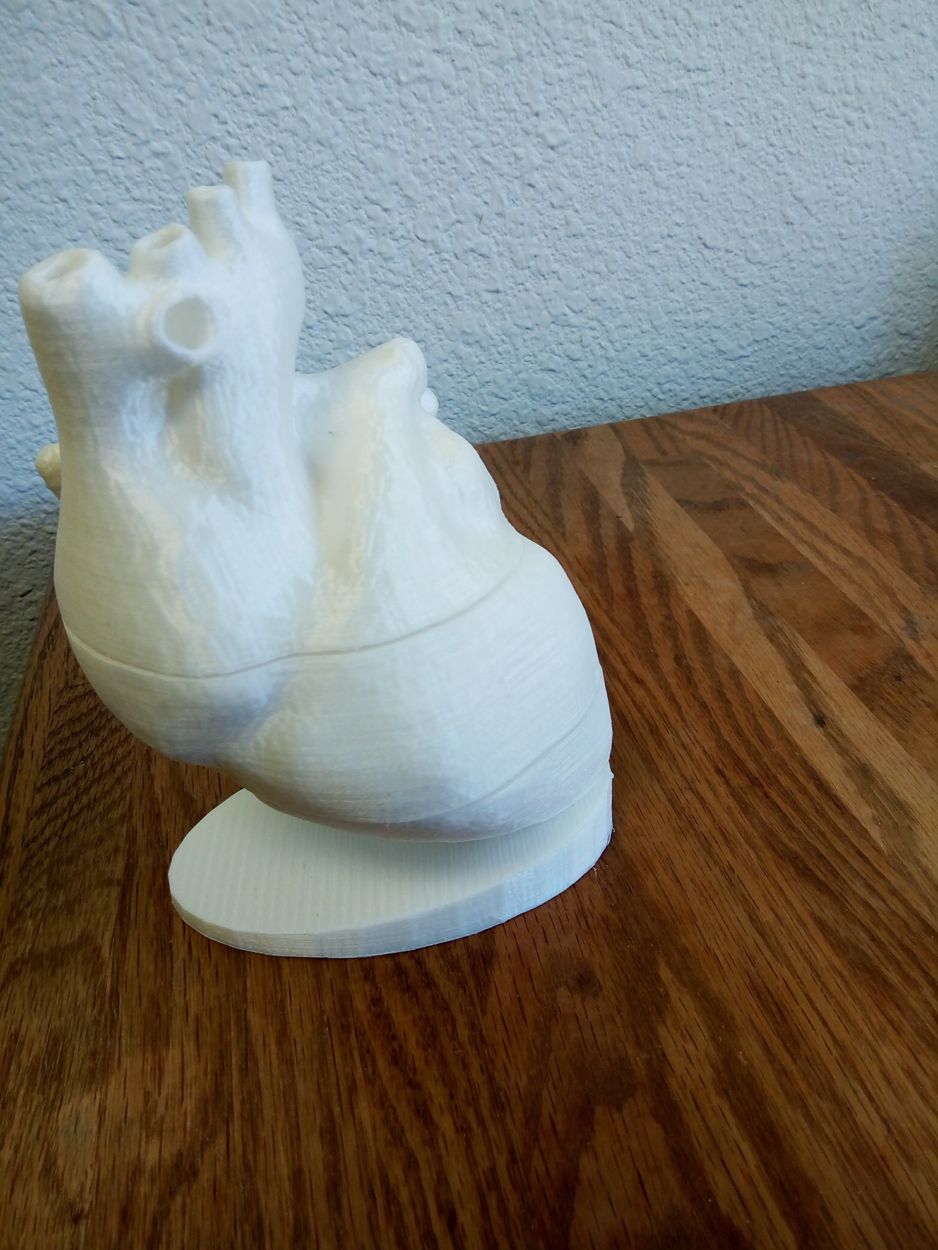 STL file Anatomical Heart 🫀・3D printing idea to download・Cults