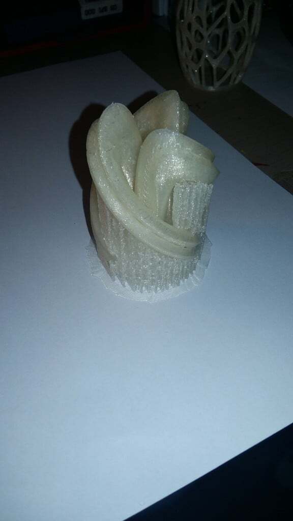 3D printed Torus Knot_oo3・Cults