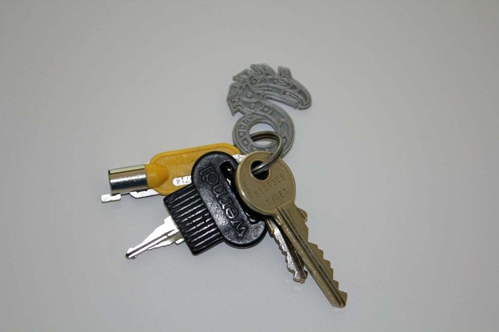 Free STL file Shadowrun logo key-ring / key-token 🗝️ ・3D printer design ...